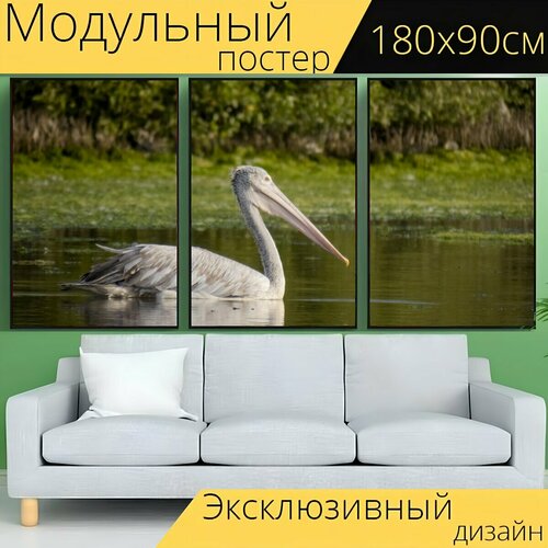 Модульный постер "Птица, пеликан, озеро" 180 x 90 см. для интерьера