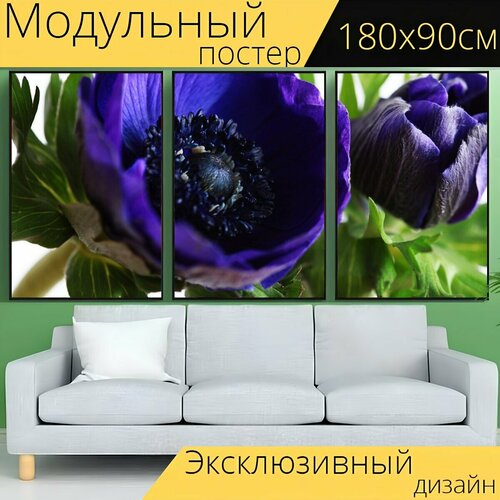 Модульный постер "Синий, анемон, цветы" 180 x 90 см. для интерьера
