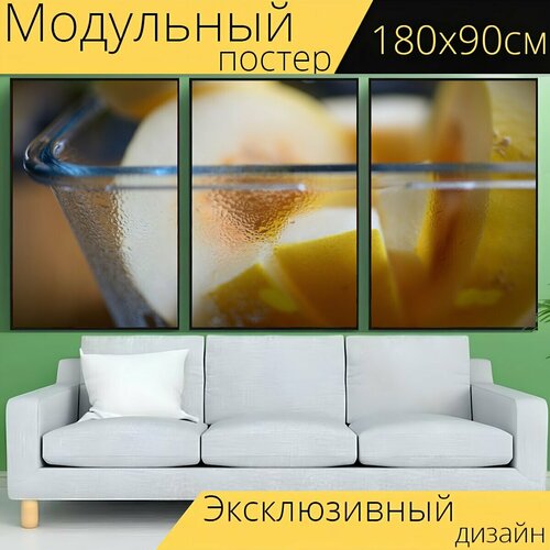 Модульный постер "Дыня, фрукты, сахарная дыня" 180 x 90 см. для интерьера