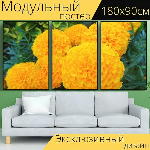 Модульный постер "Цветок, желтый, природа" 180 x 90 см. для интерьера