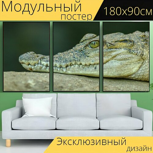 Модульный постер "Крокодил, деталь, портрет" 180 x 90 см. для интерьера