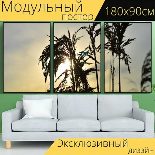 Модульный постер "Тростник, травы, солнечный свет" 180 x 90 см. для интерьера