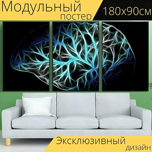 Модульный постер "Мозг, биология, анатомия" 180 x 90 см. для интерьера