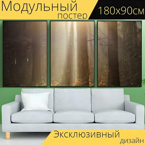 Модульный постер "Лес, солнечные лучи, природа" 180 x 90 см. для интерьера