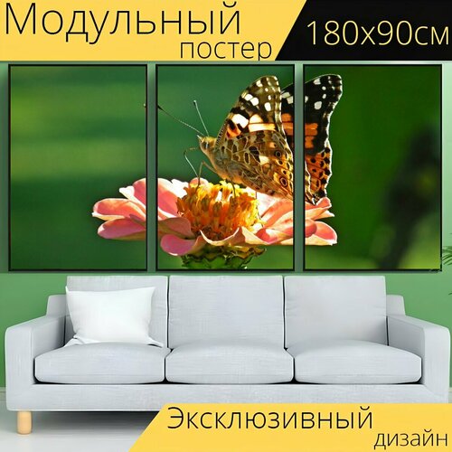 Модульный постер "Бабочка, насекомое, цинния" 180 x 90 см. для интерьера