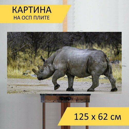Картина на ОСП 125х62 см. "Носорог, африка, дикая природа" горизонтальная, для интерьера, с креплениями