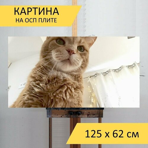 Картина на ОСП 125х62 см. "Кошка, сердитый, лицо" горизонтальная, для интерьера, с креплениями