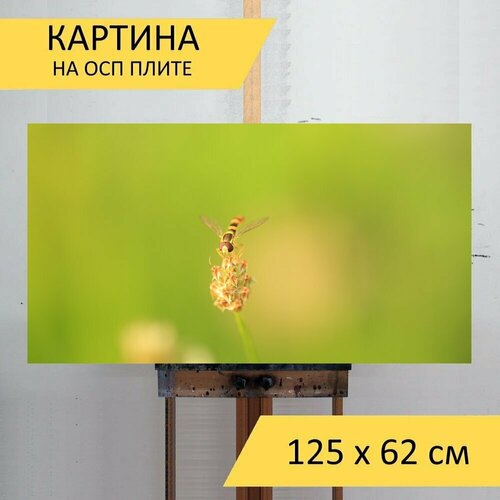 Картина на ОСП 125х62 см. "Трава, насекомое, природа" горизонтальная, для интерьера, с креплениями