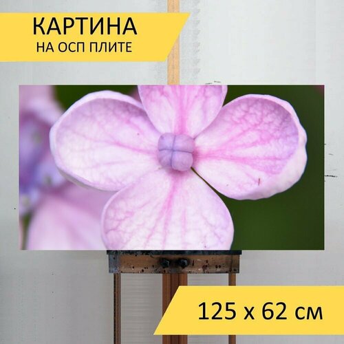 Картина на ОСП 125х62 см. "Цветок, природа, гортензия" горизонтальная, для интерьера, с креплениями