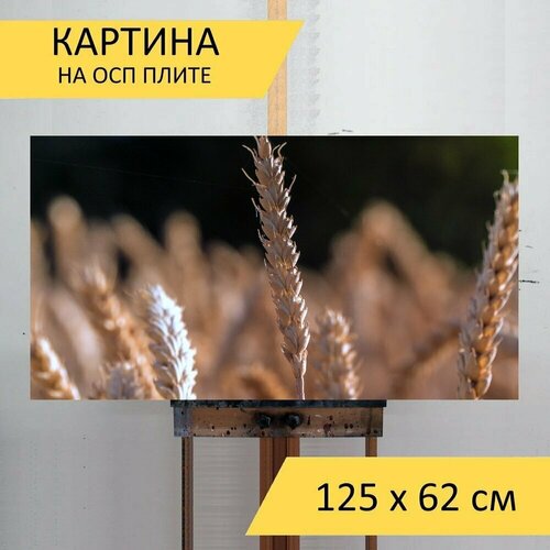 Картина на ОСП 125х62 см. "Колосья, пшеница, сельское хозяйство" горизонтальная, для интерьера, с креплениями