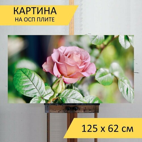 Картина на ОСП 125х62 см. "Розовый, цветок, природа" горизонтальная, для интерьера, с креплениями