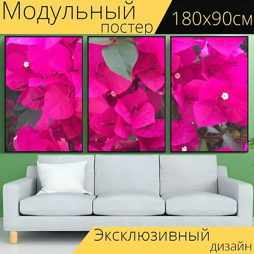 Модульный постер "Бугенвиллия, цветы, розовый" 180 x 90 см. для интерьера