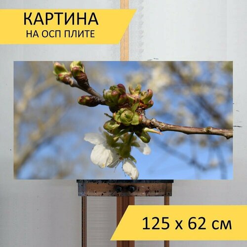 Картина на ОСП 125х62 см. "Цветение вишни, бутоны, цветы" горизонтальная, для интерьера, с креплениями