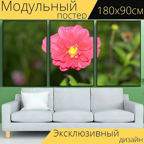 Модульный постер "Цветок, роза, завод" 180 x 90 см. для интерьера