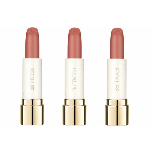 Помада для губ Focallure, Pure Matte Lipstick, тон PC04, 3,7 гр, 3 шт