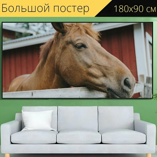 Большой постер "Лошадь, коттедж, животное" 180 x 90 см. для интерьера
