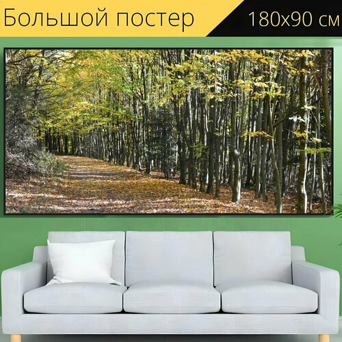 Большой постер "Дорожка, лес, природа" 180 x 90 см. для интерьера