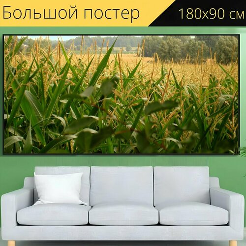 Большой постер "Ферма, кукуруза, зерновой" 180 x 90 см. для интерьера