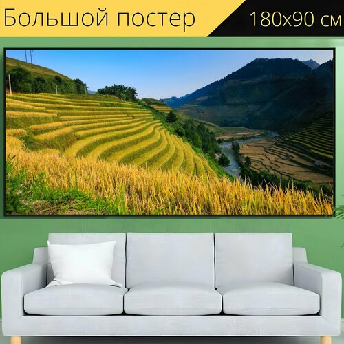 Большой постер "Вьетнам, рис, поле" 180 x 90 см. для интерьера
