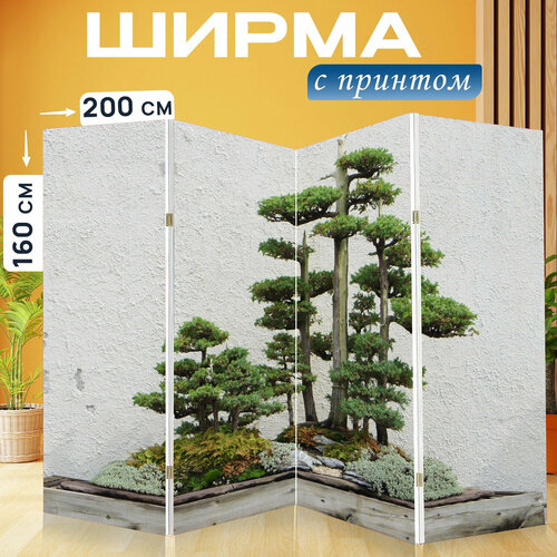 Ширма перегородка с принтом "Бонсай, дерево, завод" на холсте - 200x160 см. для зонирования, раскладная