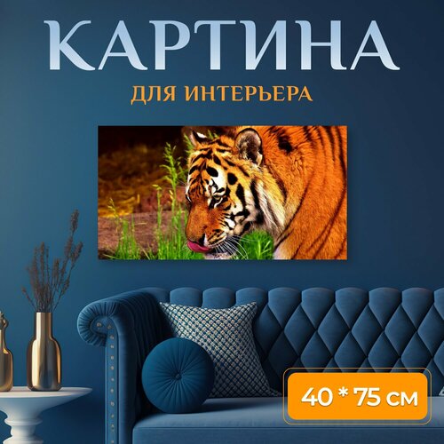 Картина на холсте "Тигр, хищник, шерсть" на подрамнике 75х40 см. для интерьера