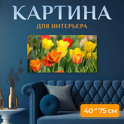 Картина на холсте "Тюльпаны, апельсин, желтый" на подрамнике 75х40 см. для интерьера