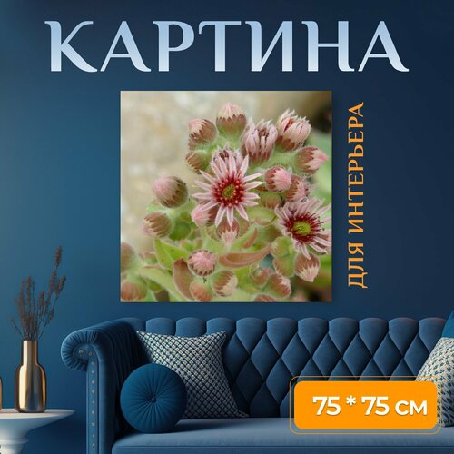 Картина на холсте "Цветок, кактус, салон красоты" на подрамнике 75х75 см. для интерьера