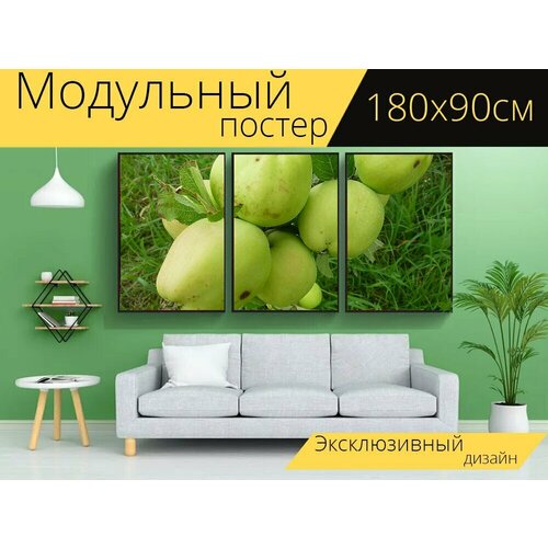 Модульный постер "Яблоки, зеленый, фрукты" 180 x 90 см. для интерьера