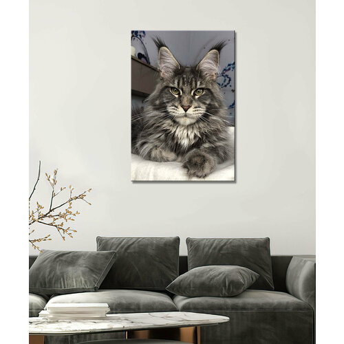 Интерьерная картина - "кошка, мейн-кун (277) 50х70"