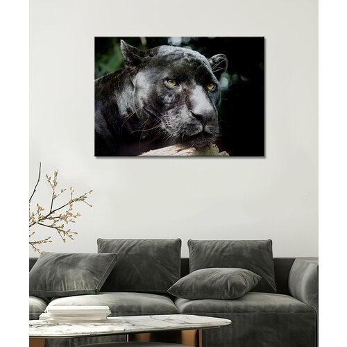 Картина/Ягур/Ягуар в джунглях/Ягуар на дереве/Черный ягуар/ - Черный ягуар (3) 20х30