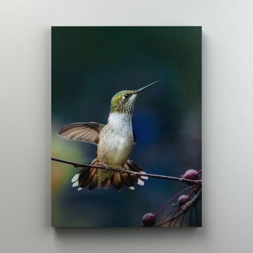 Интерьерная картина на холсте "Птицы - рубиновогорлый колибри" размер 45x60 см
