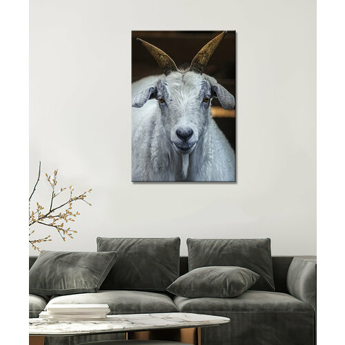 Картина - Козел, коза, дикий козел, рогатый козел, горный козел (19) 50х70
