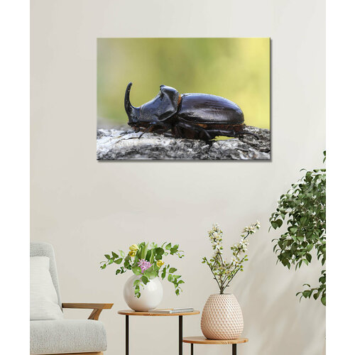 Картина - жук-носорог, жук, массивный жук, крупный жук, природа, макро (8) 40х60