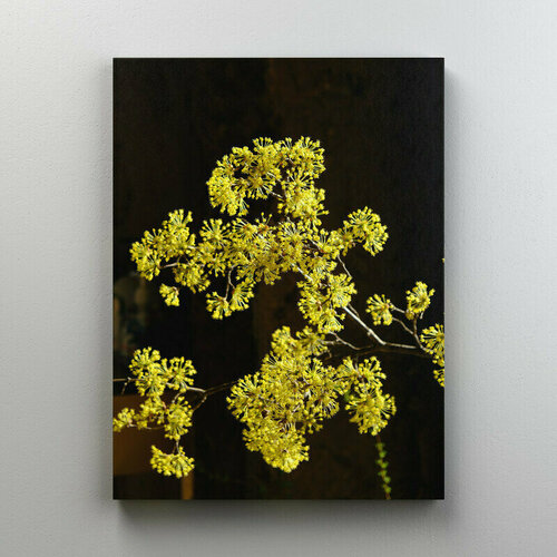 Интерьерная картина на холсте "Желтые соцветия на черном фоне" размер 22x30 см
