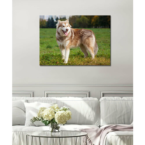 Картина - Маламут, аляскинский маламут, маламут собака, маламут порода (9) 40х60
