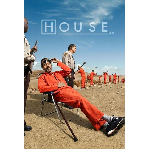 Плакат, постер на холсте House MD, Доктор Хаус. Размер 60 х 84 см