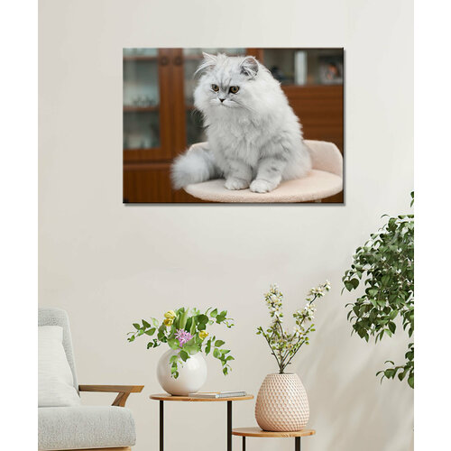 Картина - кошка, персидская кошка, домашняя кошка, ласковая кошка, кот (306) 60х80