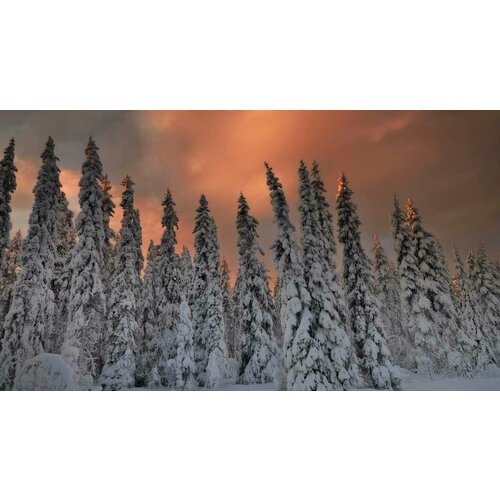 Картина на холсте 60x110 Альянс Лес "Елки лес снег вечер зима" на подрамнике / интерьер/ декор