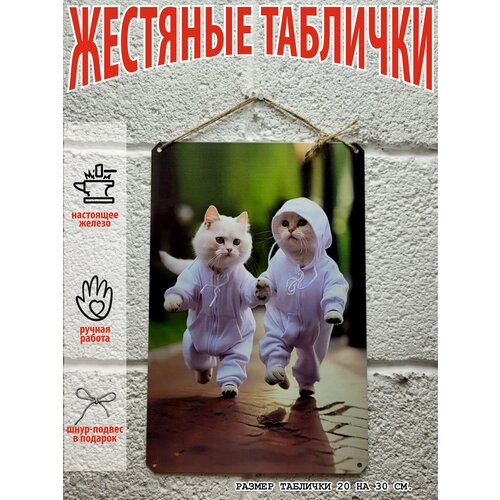 Коты постер на стену 20 на 30 см шнур-подвес в подарок