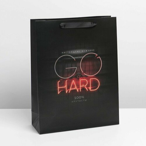 Пакет подарочный ламинированный вертикальный, упаковка, «Go hard», L 31 х 40 х 11,5 см (комплект из 11 шт)