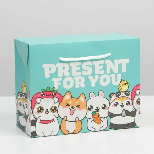 Пакет — коробка, подарочная упаковка, «Present», 23 х 18 х 11 см (комплект из 16 шт)