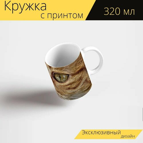 Кружка с рисунком, принтом "Кот, скумбрия, фотографировать" 320 мл.