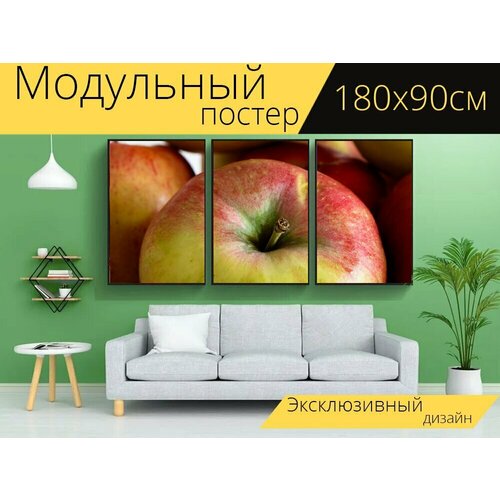 Модульный постер "Яблоки, фрукты, свежие" 180 x 90 см. для интерьера