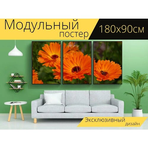 Модульный постер "Гербера, цветок, апельсин" 180 x 90 см. для интерьера