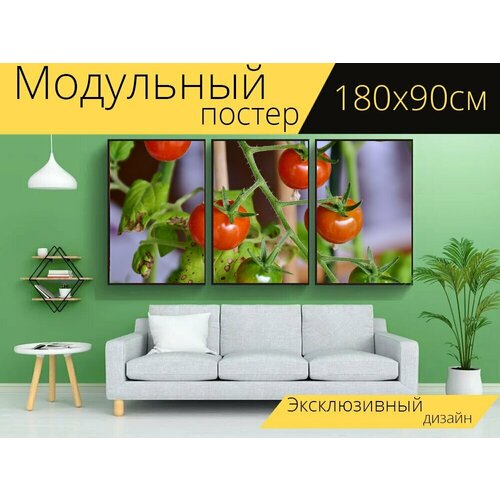 Модульный постер "Помидоры, коктейльные помидоры, красный" 180 x 90 см. для интерьера