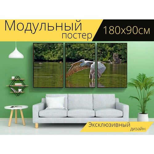 Модульный постер "Пеликан, птица, pelecanus crispus" 180 x 90 см. для интерьера