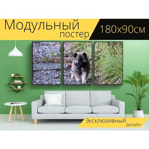 Модульный постер "Щенок, собака, восхитительный" 180 x 90 см. для интерьера