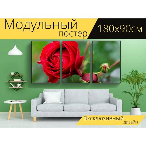 Модульный постер "Цветок, красный, крупным планом" 180 x 90 см. для интерьера