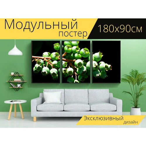 Модульный постер "Черника, фрукты, зеленый" 180 x 90 см. для интерьера