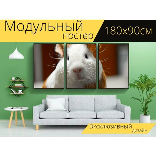 Модульный постер "Животное, домашние животные, морская свинка" 180 x 90 см. для интерьера